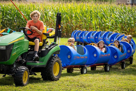 Things to Do | Colony Acres Family Farm